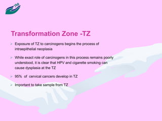 screening_and_prevention protocols for_cervix.ppt