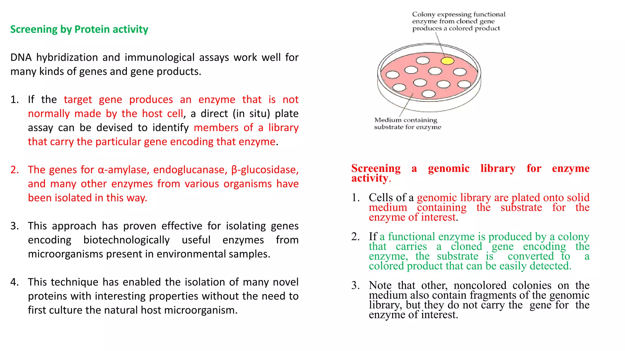 Screening and selection of recombinants | PDF