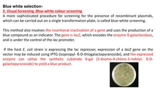 Screening and selection of recombinants | PDF