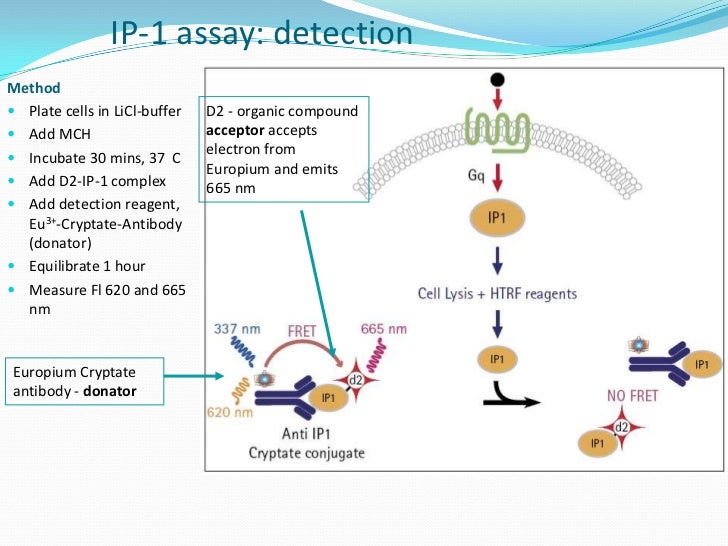 Screening Assays For Gpc Rs 3
