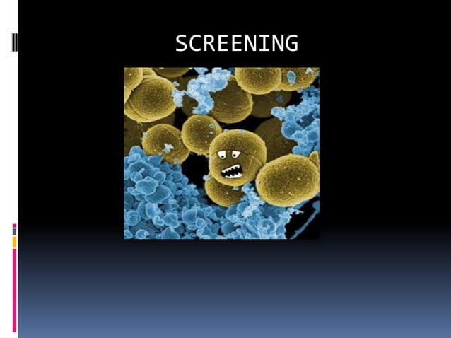 screening.pptx