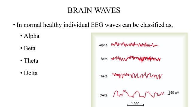 Screening hypnotic activity | PPTX