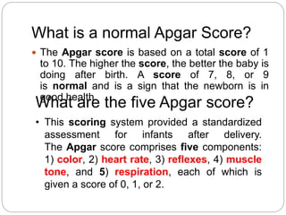 Screening, Identification, and Assessment.pptx
