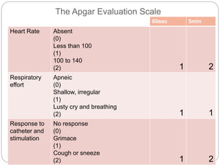 Screening, Identification, and Assessment.pptx