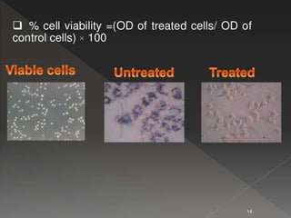 Screening method of anti cancer ptsm nivedita | PPTX