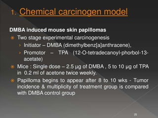 Screening method of anti cancer ptsm nivedita | PPTX