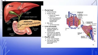 Screening method of herbal drugs & formulation | PPT