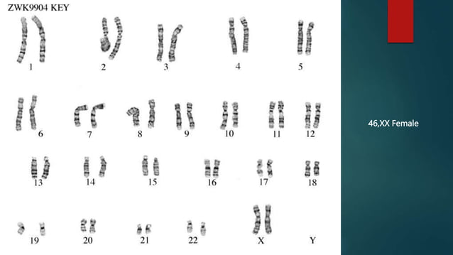 Screening methods- Genetic Testing counselling.pptx