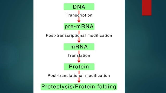 Screening methods- Genetic Testing counselling.pptx