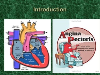 Screening methods for anti angina | PPTX