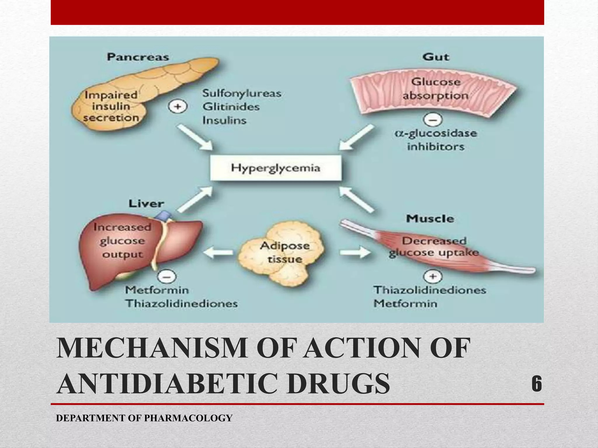 Screening methods for antidiabetic agents | PPTX