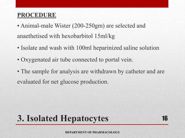 Screening methods for antidiabetic agents | PPTX | Endocrine and ...