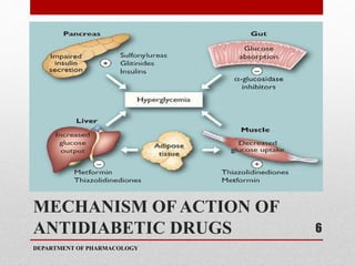 Screening methods for antidiabetic agents | PPTX