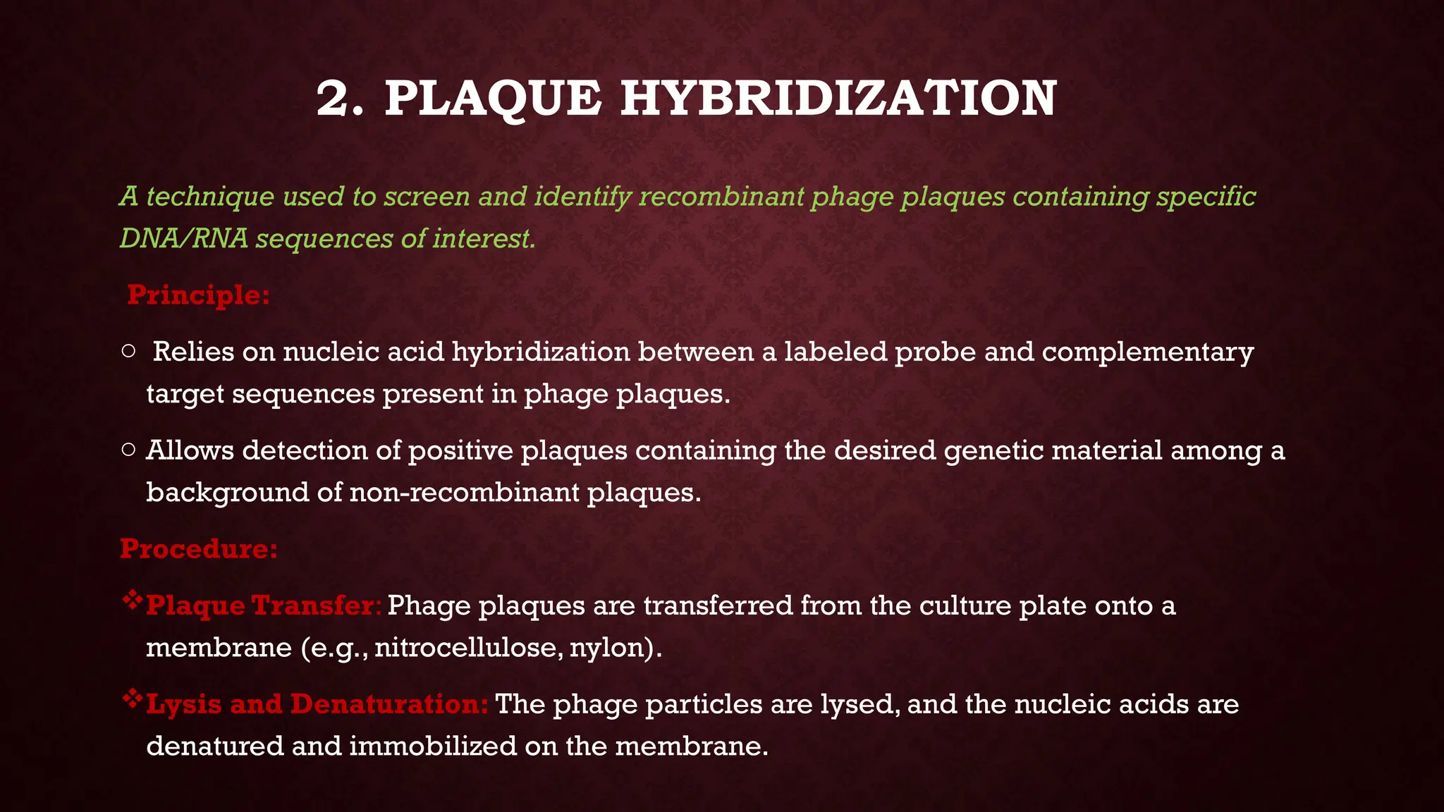 Screening Methods for clone identification | PPTX