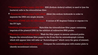 Screening Methods for clone identification | PPTX