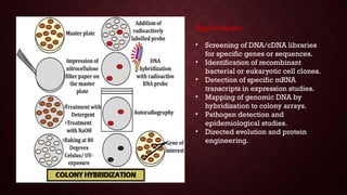 Screening Methods for clone identification | PPTX