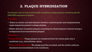 Screening Methods for clone identification | PPTX