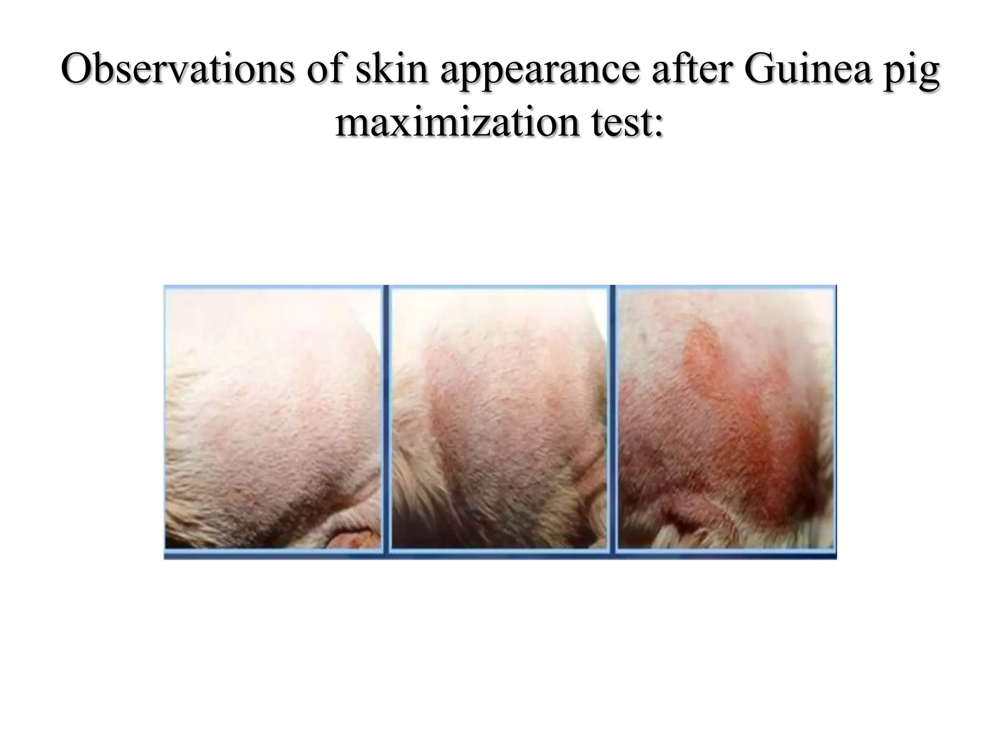 Screening methods for skin sensitization, skin irritation and dermal ...