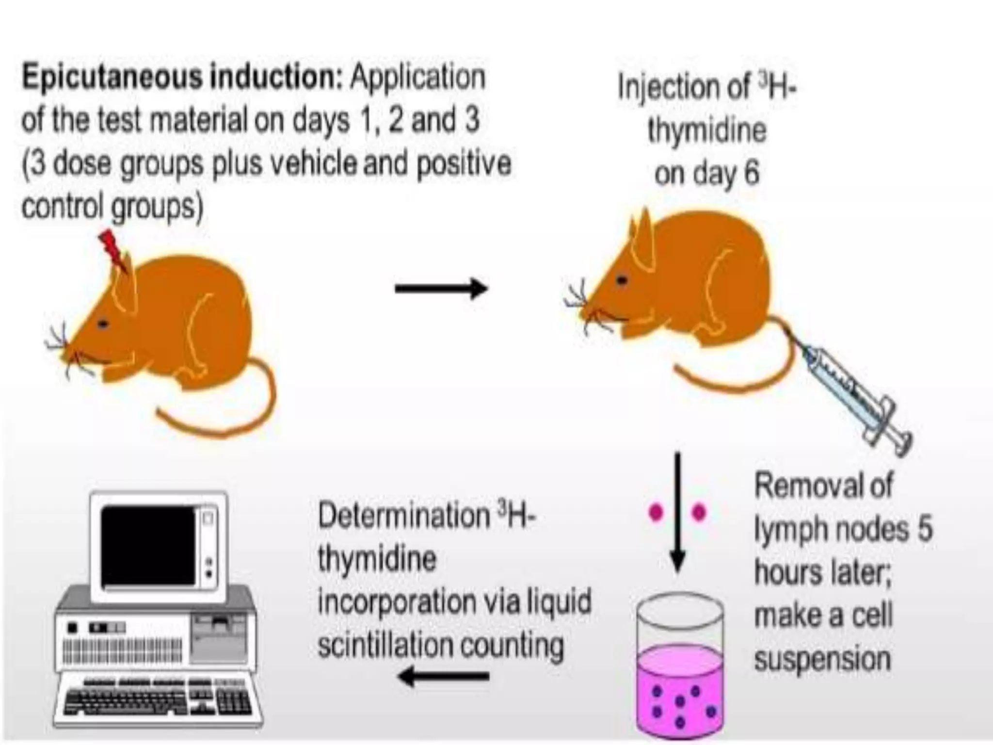 Screening methods for skin sensitization, skin irritation and dermal ...