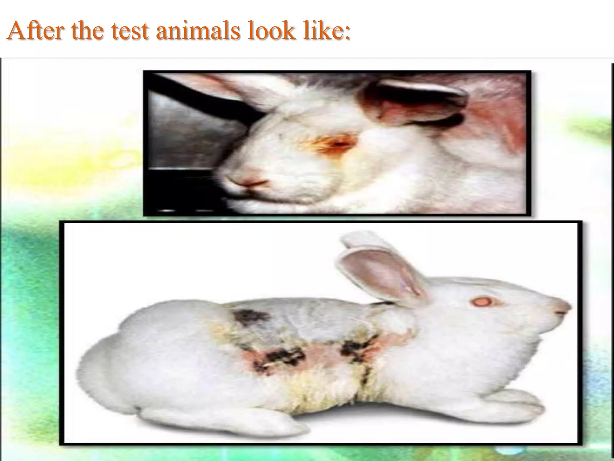 Screening methods for skin sensitization, skin irritation and dermal ...