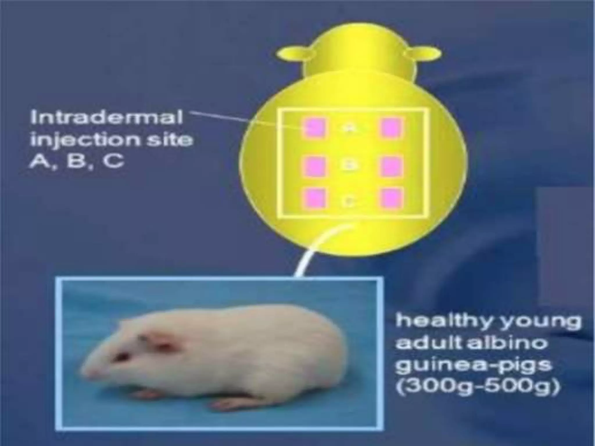 Screening methods for skin sensitization, skin irritation and dermal ...