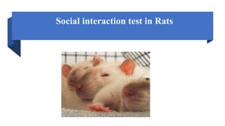 Screening Methods of Anti Anxiety Agents | PPTX