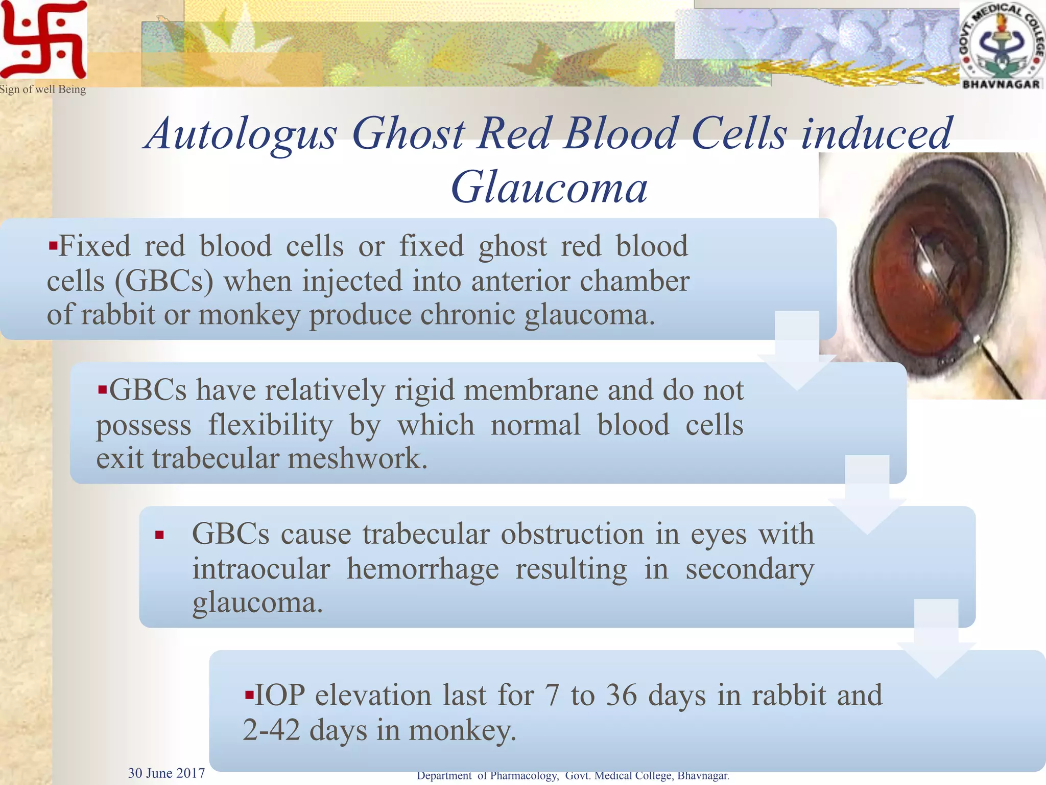 Screening methods of antiglaucoma drugs | PDF