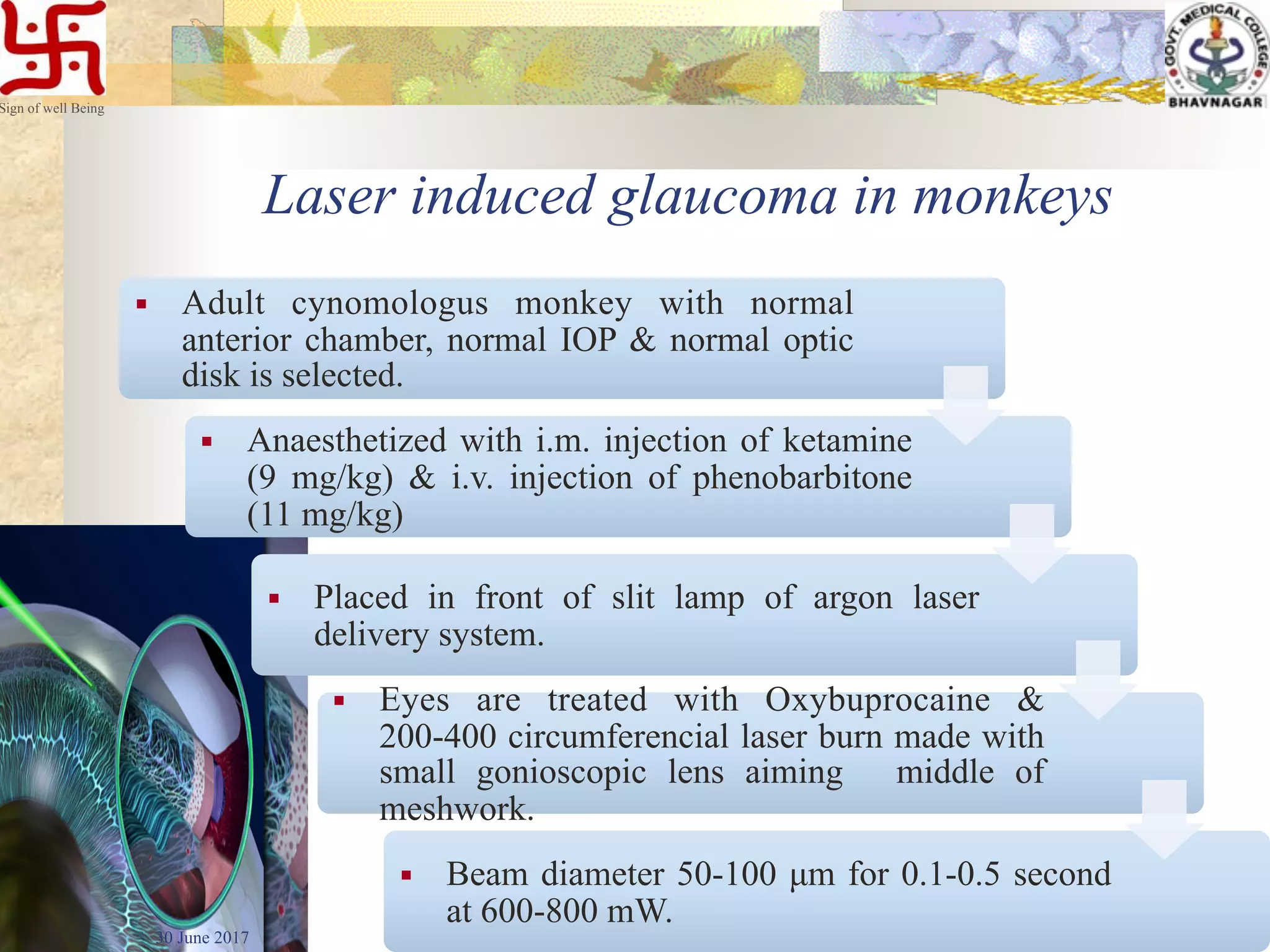 Screening methods of antiglaucoma drugs | PDF