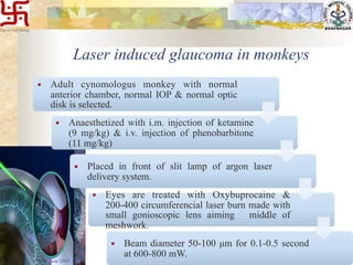Screening methods of antiglaucoma drugs | PDF