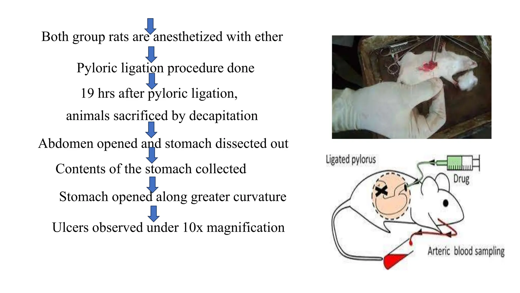SCREENING METHODS of antiulcer drugs.pptx