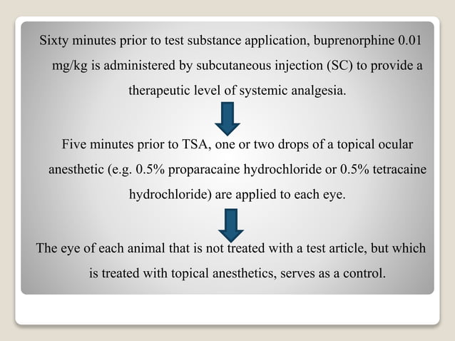 Screening models for acute eye irritation & skin sentization | PPTX ...