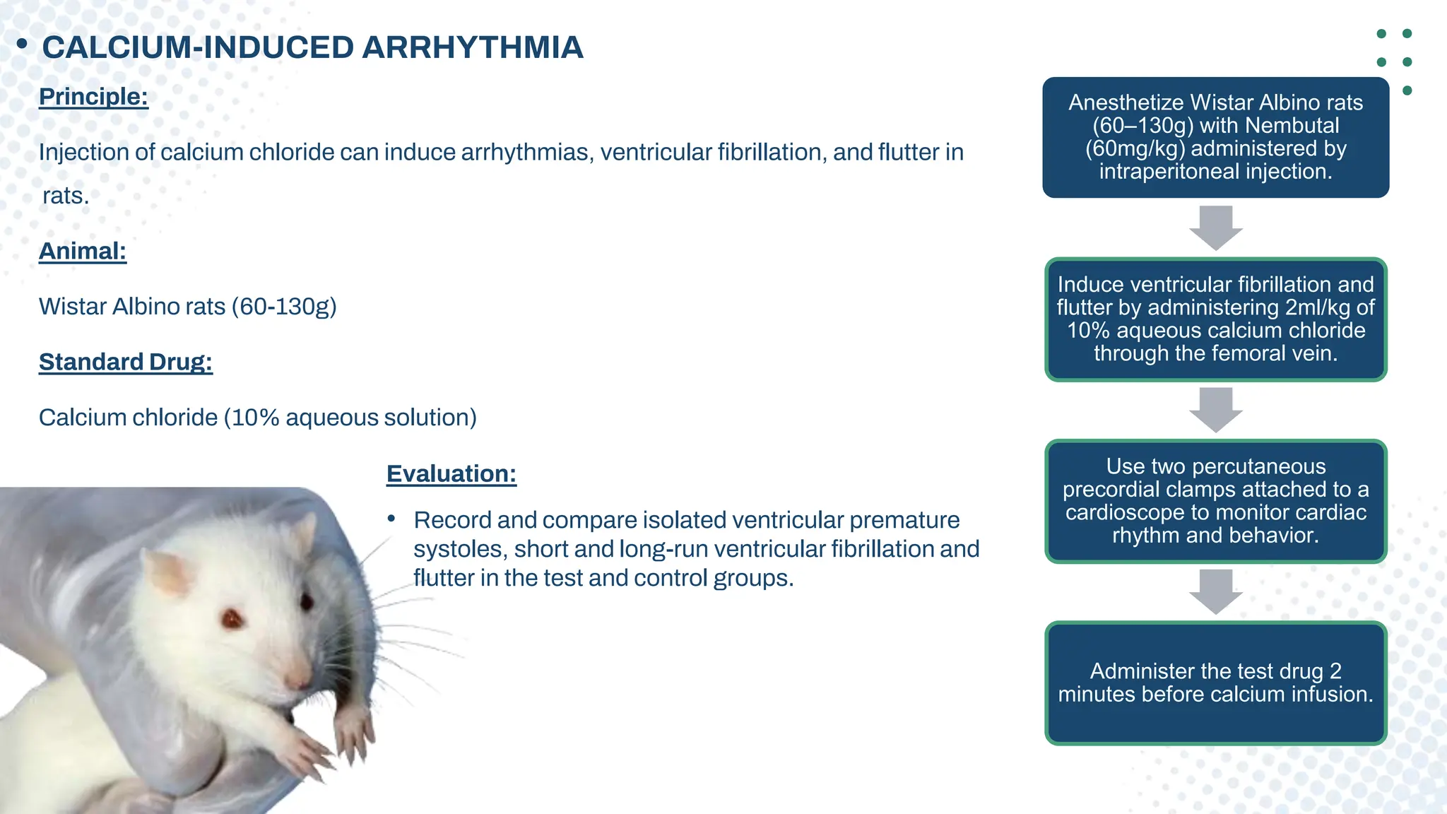 SCREENING MODELS FOR ANTI-ARRTHMICS AND ANTI-ANGINAL AGENTS.pptx