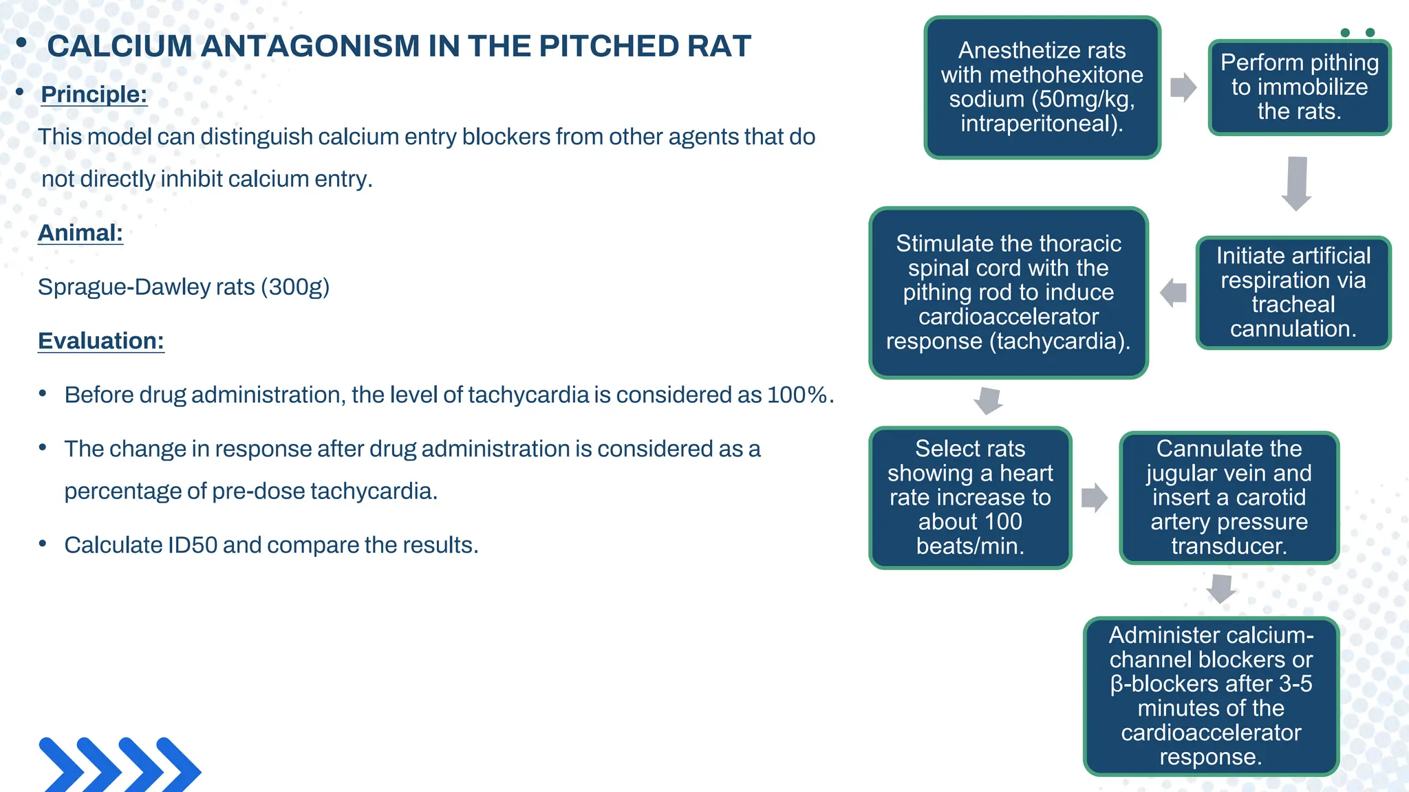 SCREENING MODELS FOR ANTI-ARRTHMICS AND ANTI-ANGINAL AGENTS.pptx