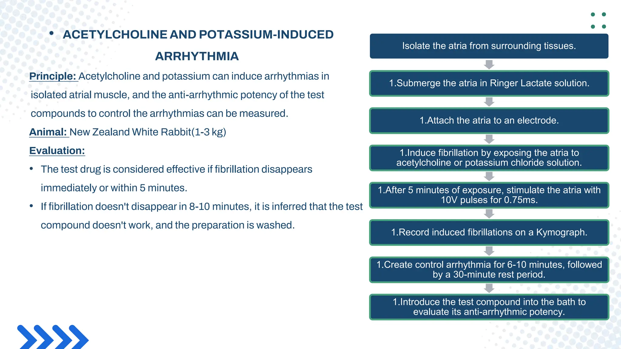 SCREENING MODELS FOR ANTI-ARRTHMICS AND ANTI-ANGINAL AGENTS.pptx