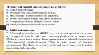 Pre clinical screening models for anti cancer drugs | PDF