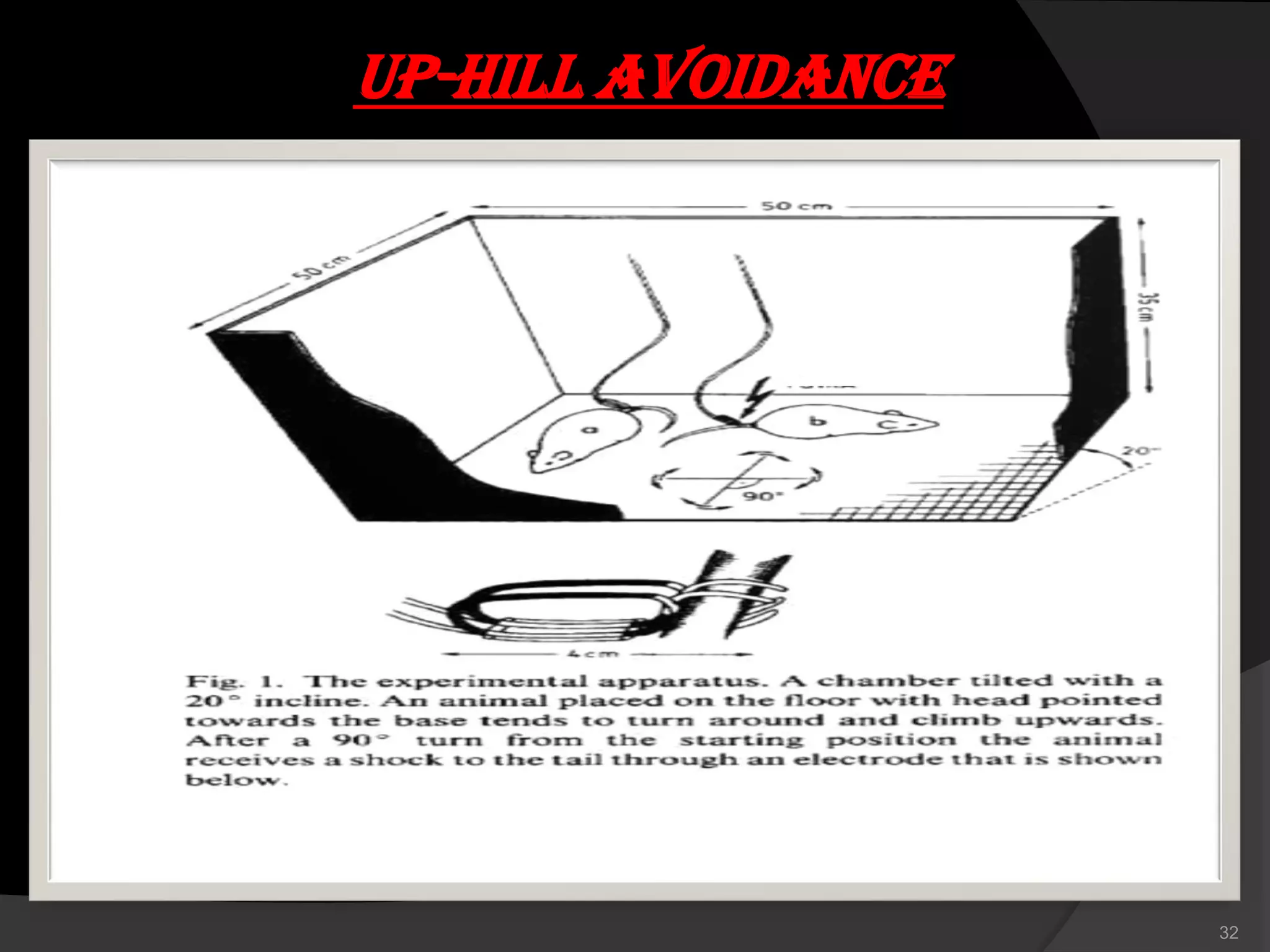 Screening models of alzheimer disease | PDF