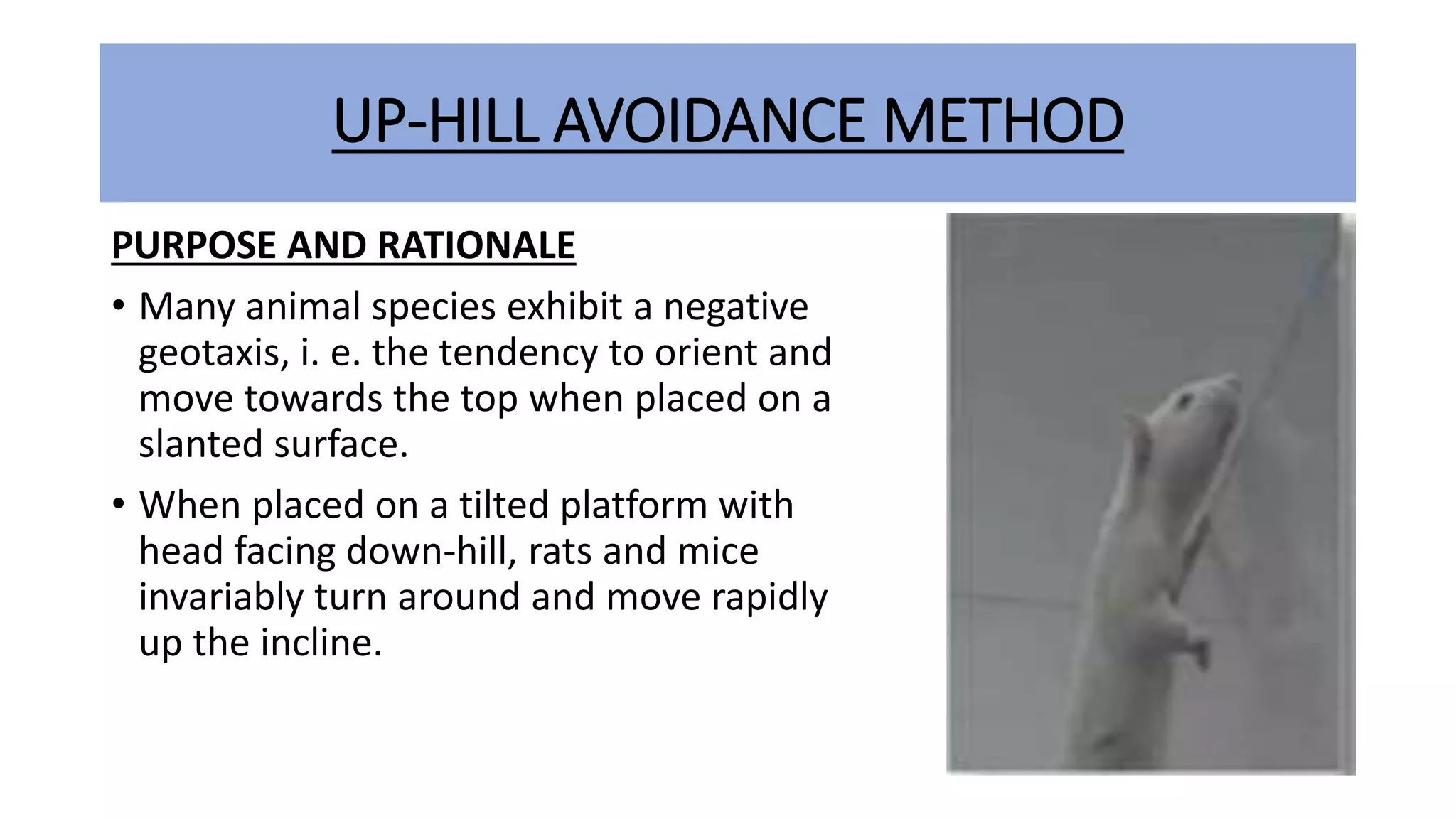 Screening Models of Alzheimers disease.pptx