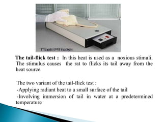 Screening of Analgesic Drugs pHARMACOLOGY.pptx