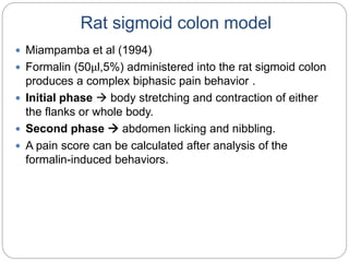 Screening of analgesics | PPTX