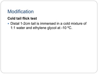 Screening of analgesics | PPTX