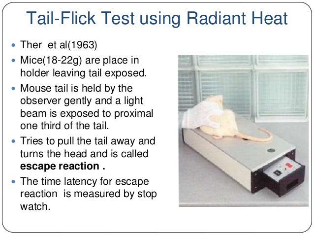 Screening of analgesics