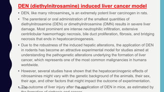 Screening of anti cancer agents- by kahkesha | PPTX