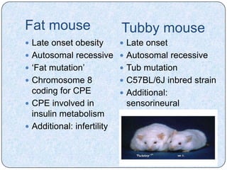 Screening of anti obesity drugs | PPTX