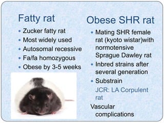 Screening of anti obesity drugs | PPTX