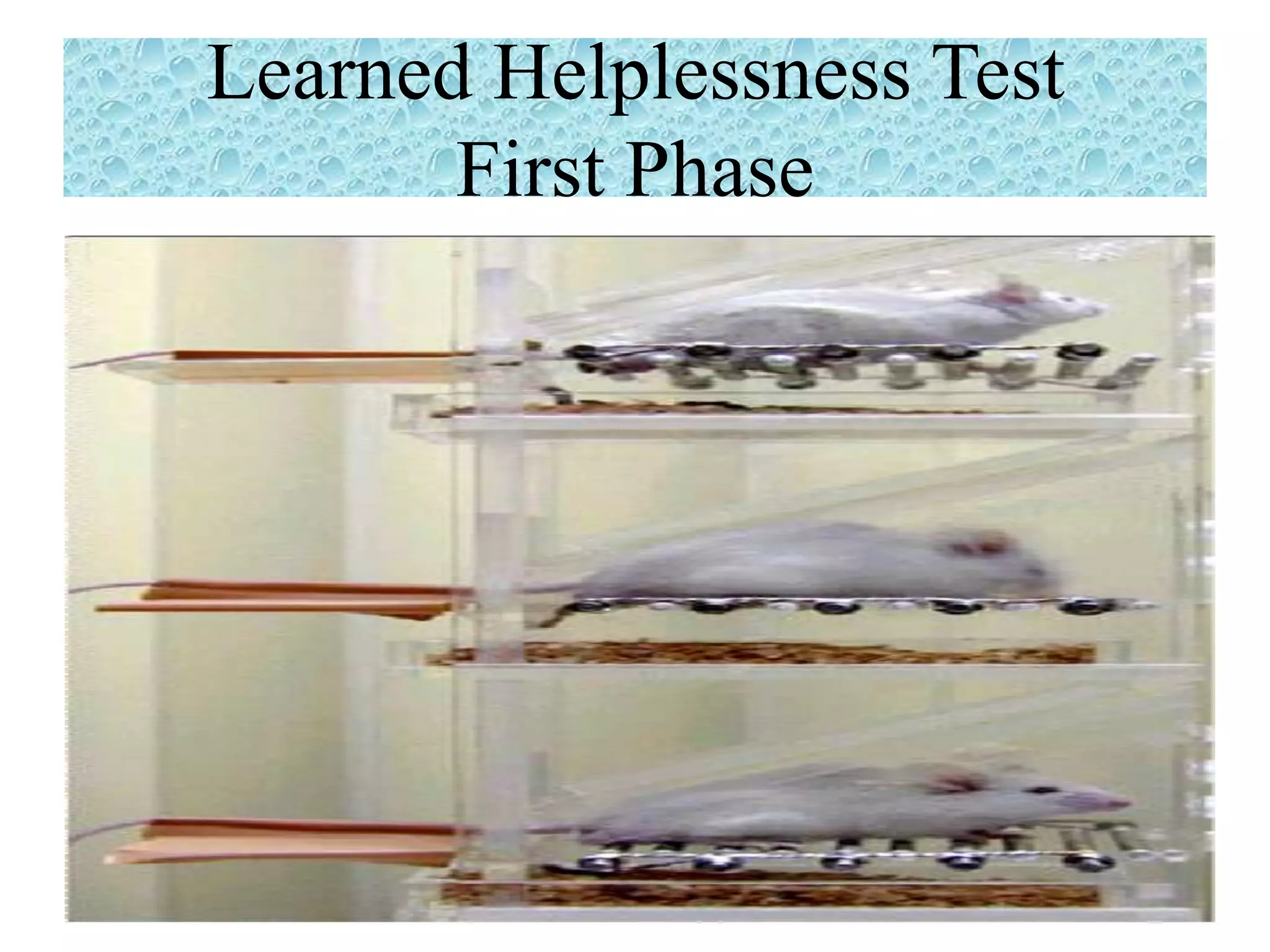 Screening of antidepressant agents | PPTX