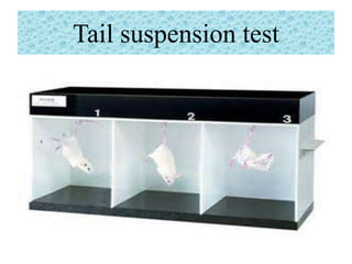 Screening of antidepressant agents | PPTX