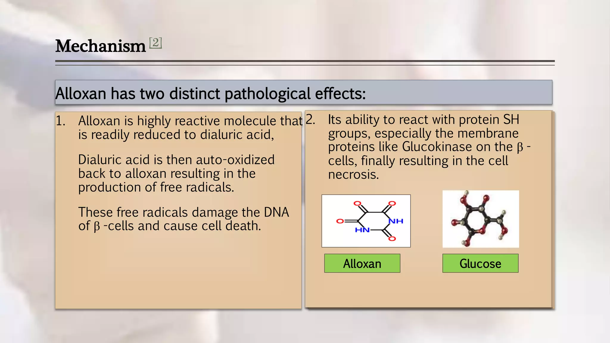Screening of Antidiabetics | PPTX