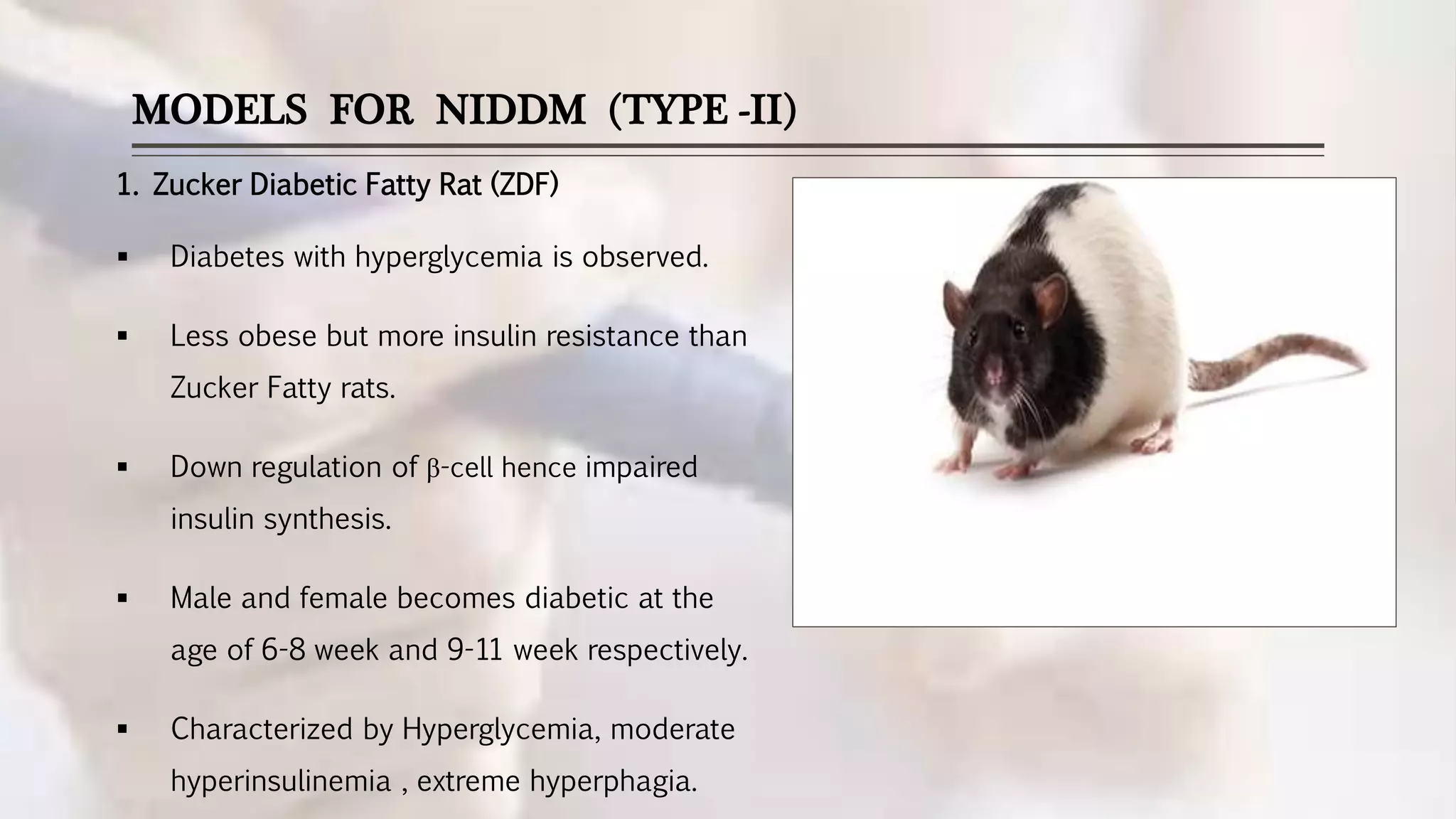 Screening of Antidiabetics | PPTX