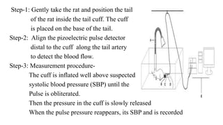 screening of antihypertensive drugs.pptx