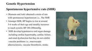 screening of antihypertensive drugs.pptx